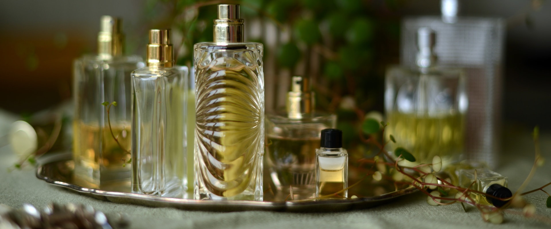 How to Make the Most of Your Perfume Trial Period